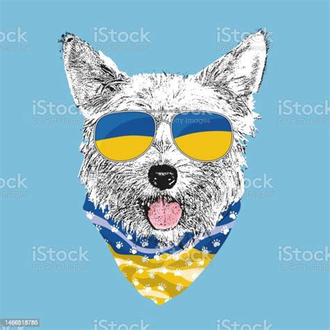 요크셔 테리어 초상화 우크라이나 국기 안경과 두건에 귀여운 멋진 개 벡터 일러스트 레이 션 T 셔츠에 대한 스톡 벡터 아트 및 기타 이미지 Istock
