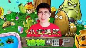 小宝寻花全集 爱奇艺