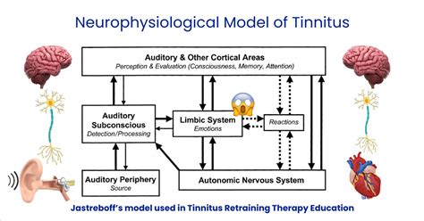 Tinnitus Retraining Therapy A Critical Review Neuromed Tinnitus Clinic