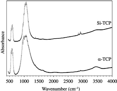 Ftir Spectrum Of Tcp Powders Download Scientific Diagram