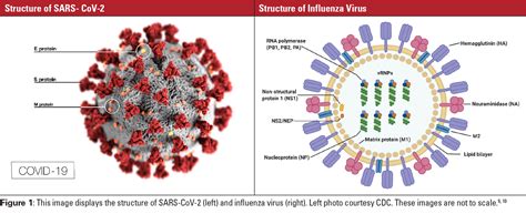 Sars Virus Structure