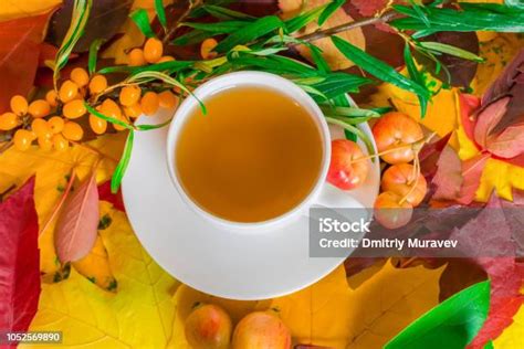 가 낙된 엽의 배경과 야생 사과 바다 갈 매 나무속의 과일에 향기로운 차 한 잔 0명에 대한 스톡 사진 및 기타 이미지 0명 10월 11월 Istock