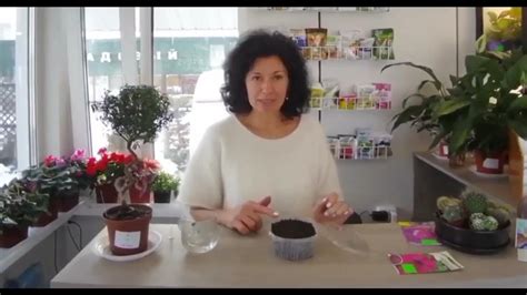 Как вырастить шикарную петунию из семян 🌸Смотрим Youtube