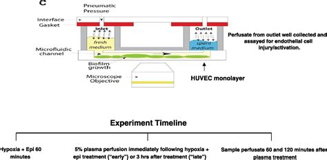 Microfluidics A High Throughput System For The Assessment O