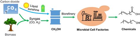 Methanol Biotransformation Toward High Level Production Of Fatty Acid Derivatives By Engineering