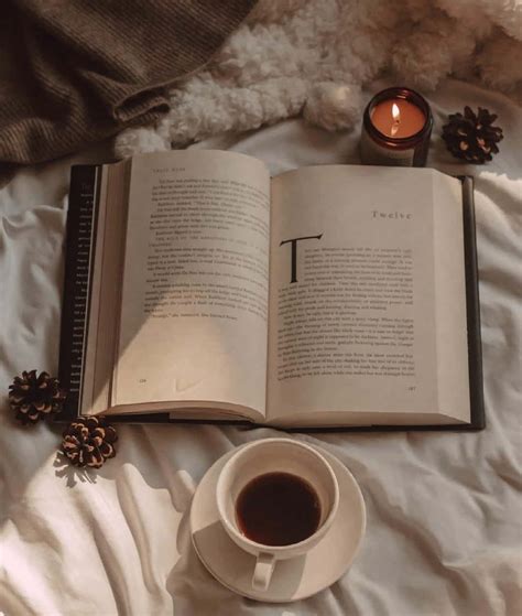 100 Reading Aesthetic Wallpapers