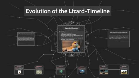 Evolution Of The Lizard Timeline By Yafet Boiani On Prezi