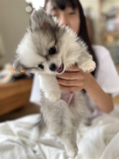 ️松田かれん️┊︎原宿学園️┊︎6月27日セカンドシングル キスがスキ Cd発売👍🏻💗 On Twitter ただいま💭 きょーのらいぶも