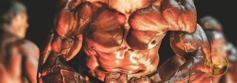 Best Workout Routines For Bulking And Cutting Bodybuilding Inner Circle