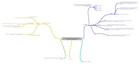 Localisation Of Function In The Brain And Hemispheric Lateralisation