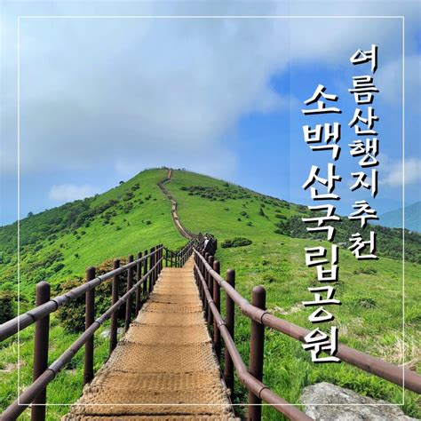 소백산 등산코스 시원한 계곡따라 비로봉까지 초보도 거뜬한 어의곡코스 여름등산 추천 네이버 블로그