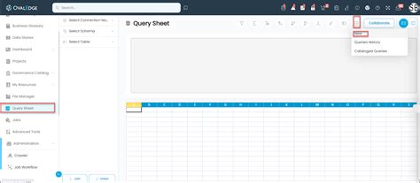 Query Sheet