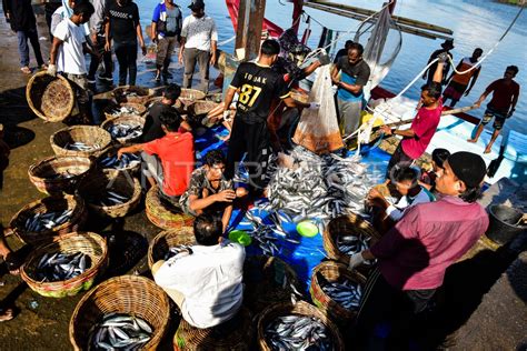 Target Pdb Perikanan 2023 Antara Foto