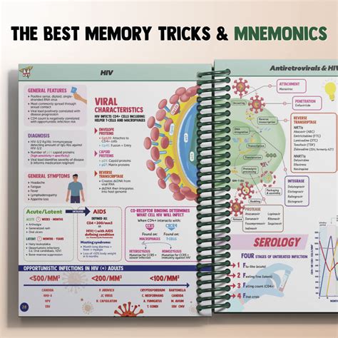 The Complete Usmle Step 1 Bundle Medschoolbro