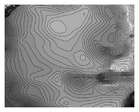Contour Plots Corresponding To Figures 5b5f A The Ideal Contour