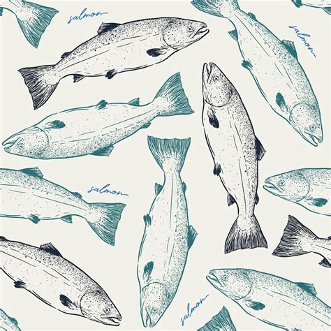 5 Types Of Salmon Vital Choice