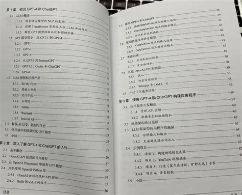 Python初学者也能快速掌握大模型应用开发 好书推荐 冷月清谈