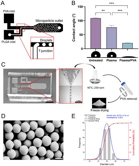 Enhanced Maturation Of 3d Bioprinted Skeletal Muscle Tissue Constructs Encapsulating Soluble
