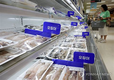 기후변화로 동해안 어종 크게 달라져…정어리 늘고 오징어 감소