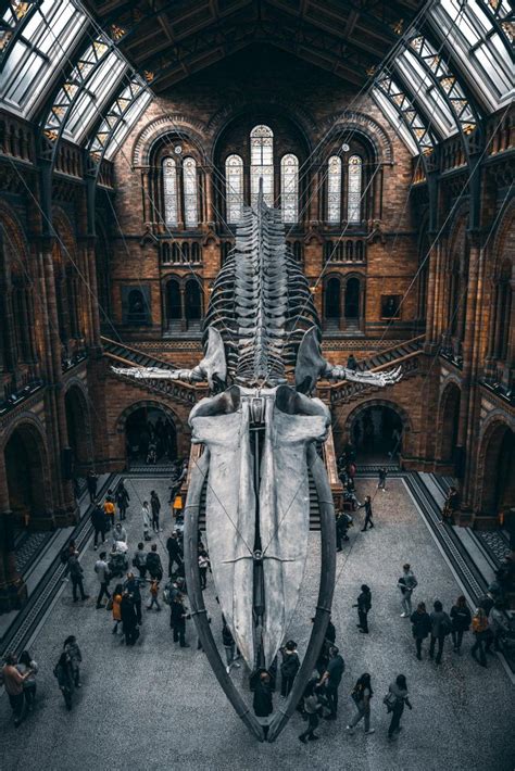 Scientific Manipulations Vladimir Živković Author