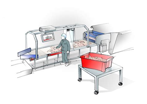 Plastic Detection Condi Food