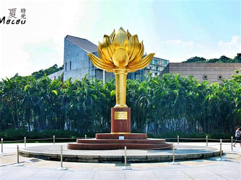 2026金莲花广场 旅游攻略 门票 地址 问答 游记点评，澳门旅游旅游景点推荐 去哪儿攻略