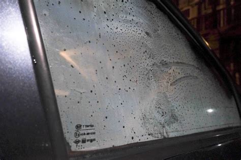 Why Car Windows Freeze And How To Avoid It Minute Crafts