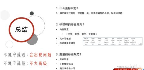 Python 基础语法全面解析：字面量、注释、变量等入门概念介绍python字面量 Csdn博客
