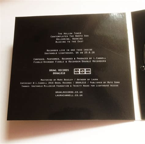 Simultaneous Flight Movement Laura Cannell Brawl Records