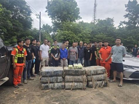 ตำรวจ ทล ชัยภูมิบูรณาการร่วมจนท บช ปส ปฏิบัติการก้าวสกัดจับกุมขบวนการ