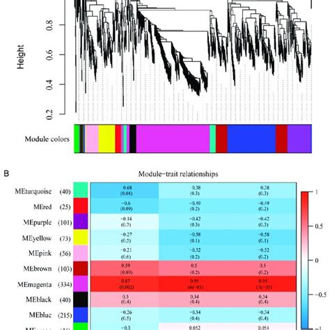 WGCNA Hierarchical Gene Clustering Was Used To Sort Out The Clustering