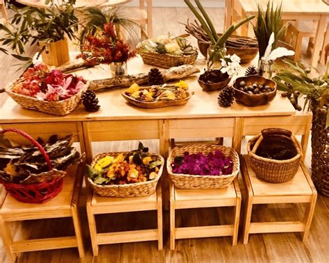 a comprehensive preschool classroom design guide