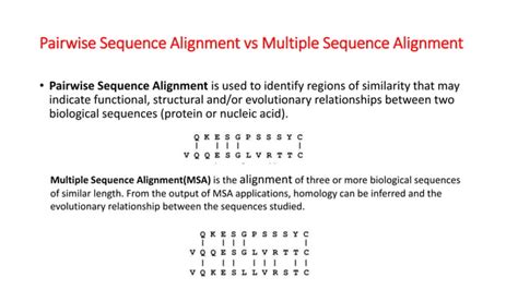 Multiple Sequence Alignment Pptx Databases Computer Software And