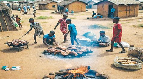 Humanitarian Workers Implicated In Adamawa Idps Sexual Harrasment Cases Humanitarian Workers Implicated In Adamawa Idps Sexual Harrasment Cases