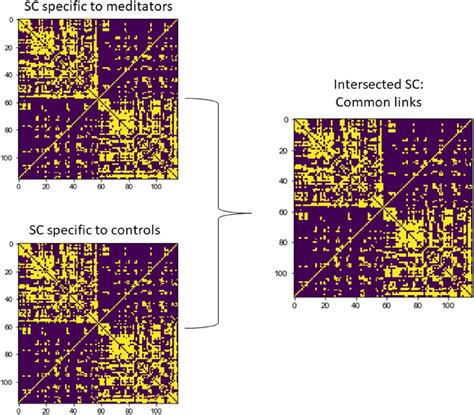 Intersected SC Matrix For Each Group To Estimate Functional Dynamics Download Scientific