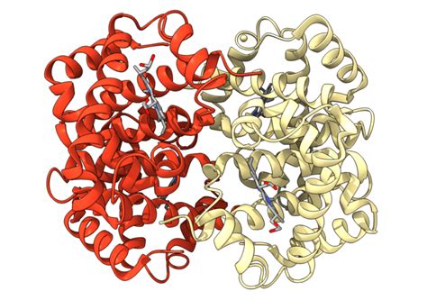 Perlbio Perll A Bioinformatics Toolkit Rasa Life Sciences