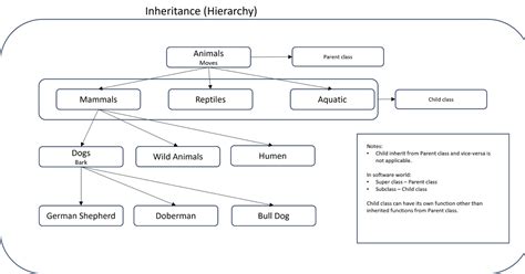 Inheritance And Polymorphism