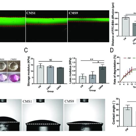 Cell Viability Obtained By Fdapi Staining For The Bmscs Encapsulated