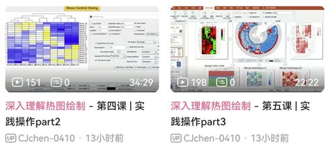 Heatmap热图绘制 宇宙最强视频教程，零基础从入门到精通~ 哔哩哔哩