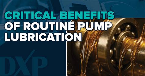 Critical Benefits Of Routine Pump Lubrication Dxp Pacific