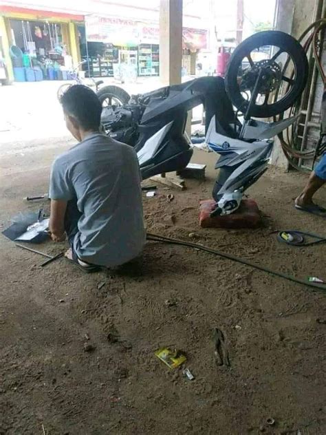 Baut Tap Oli Losdoll Funny Apes