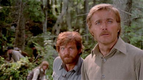 Colmillo Blanco 1973 Película Cineol