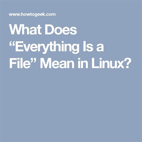what does “everything is a file” mean in linux linux everything filing