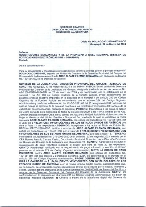 Solicitud De Medidas Cautelares Resúmenes De Derecho Penal Docsity