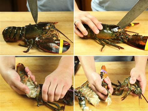 How to Kill, Cook, and Shell a Lobster | The Food Lab