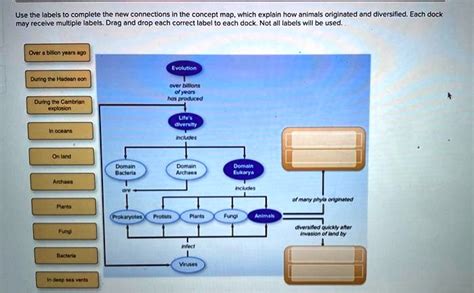 Use The Labels To Complete The New Connections In The Concept Map