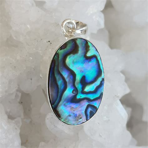 Abalone Shell High Quality Mark Bajerski Pure Energy Healing Academy