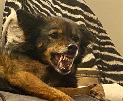 Resource Guarding Webinar The Mutty Professor