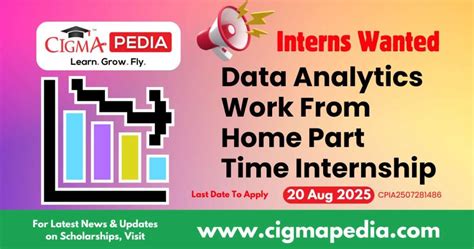 Data Analytics Work From Home Part Time Internship By Collegetips Ed Tech Media Private Limited