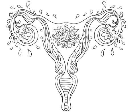 Uterus Coloring Outline Coloring Pages